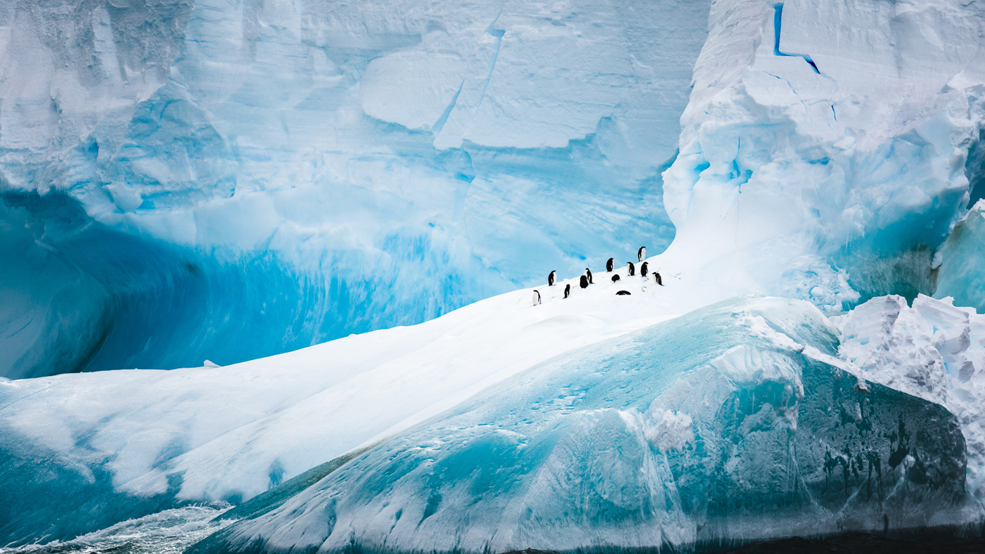 The Ross Sea: The Other Side of Antarctica | EYOS Expeditions