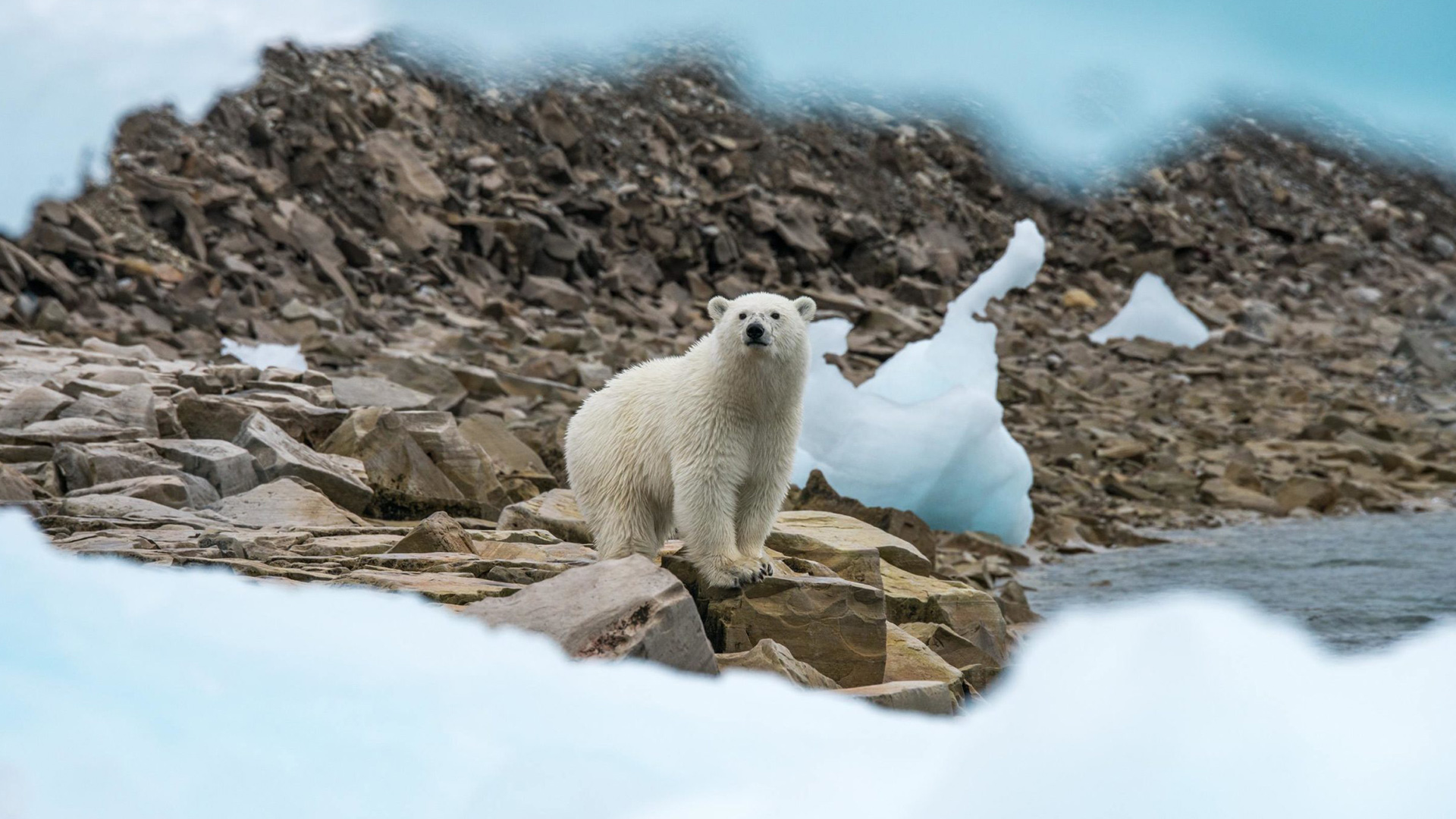 Svalbard: Land of the Polar Bear | Arctic Archipelago | EYOS
