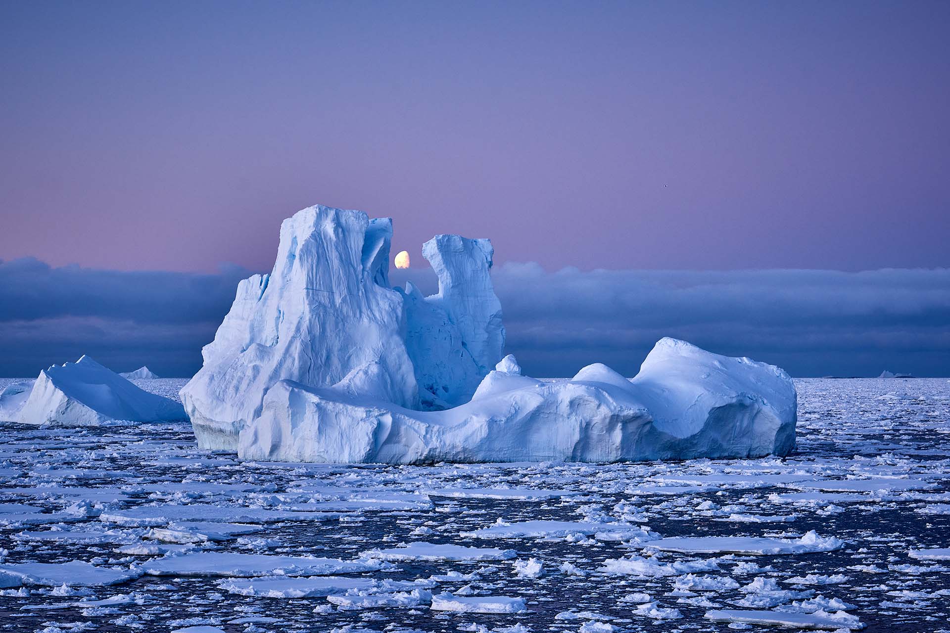 South Pole Expeditions – Private Antarctica Interior Trips | EYOS ...