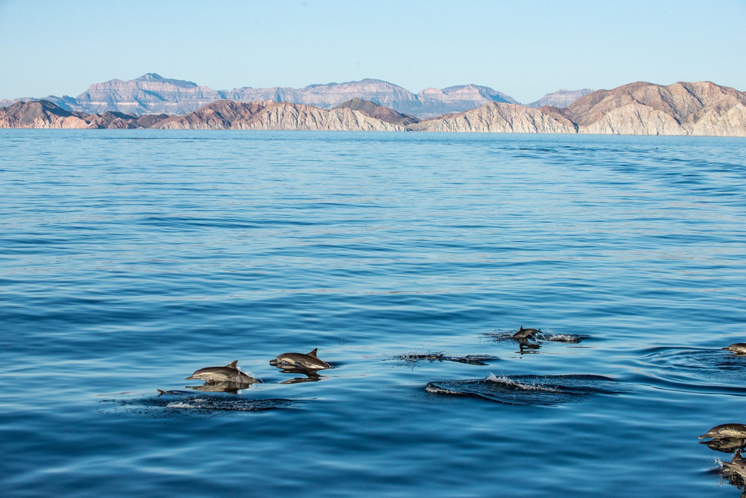 The Best Things To Do In Baja California On An Adventure Expedition ...